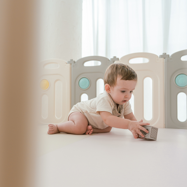 Raccoon Playpen - Fun Sensory Perfect Fit Set – RaaB Family Singapore ...